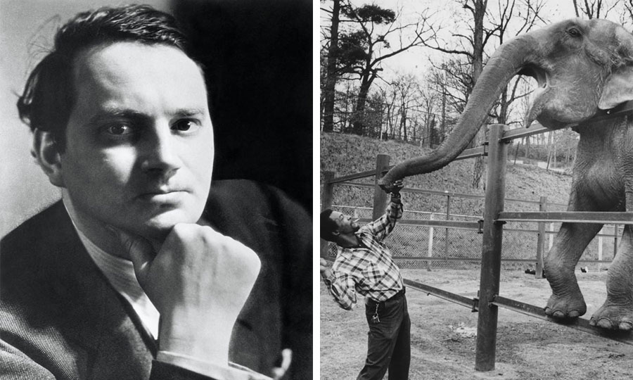 Thomas Wolfe’s Little-Known Connection to World Elephant Day – AVL Lit ...